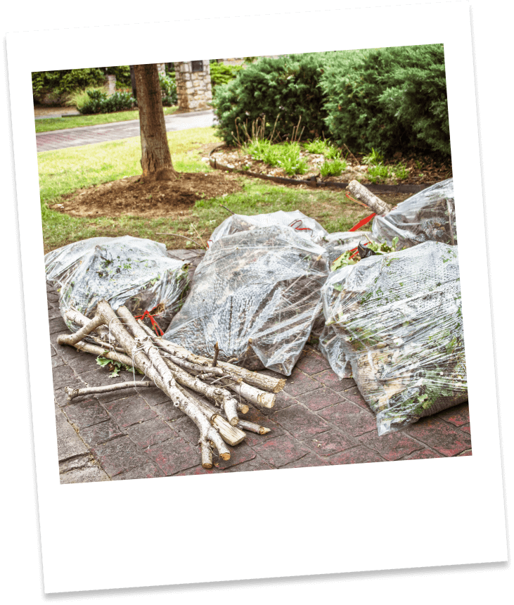 Home - Junk Grabbers